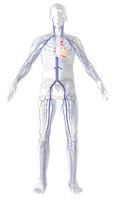 Venenarzt Pf | Venacare.ch - Dr. med. Camurati & Team